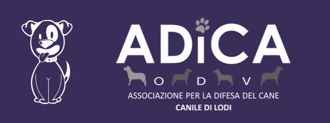 Area enti | Ospedale Veterinario Universitario di Lodi